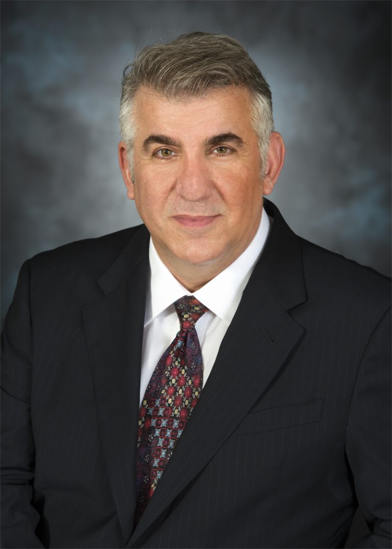 About Dr. Amin - Massoud Amin